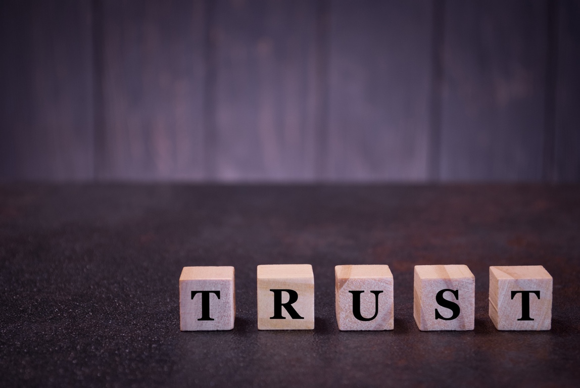 Implementation during a time of crisis: the critical role of trusting ...